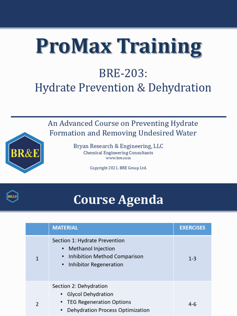 BRE 203 Hydrate Prevention & Dehydration Slides | PDF