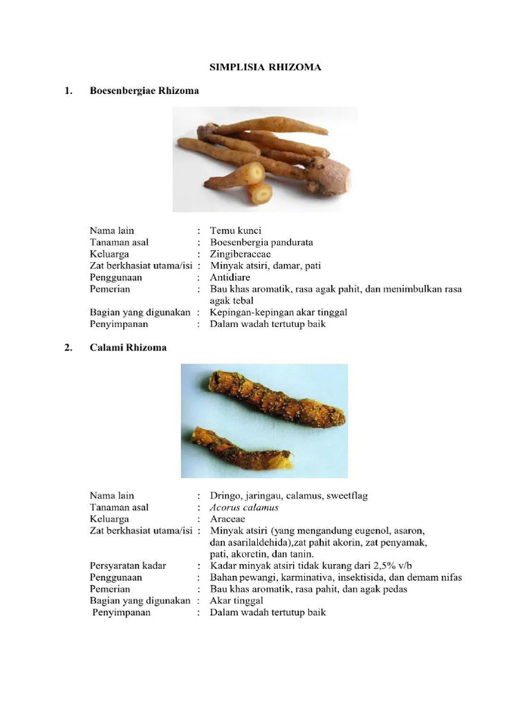 Tugas DPK-3 Filzah X Farmasi | PDF