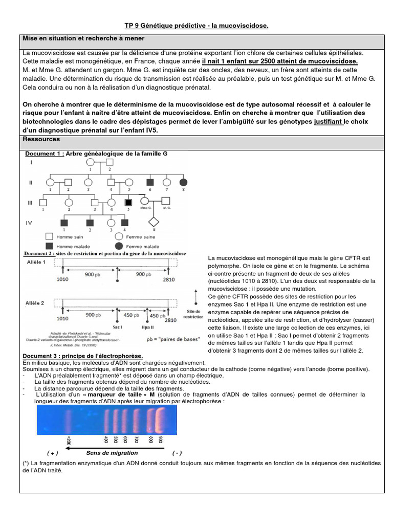 TP 9 Génétique Prédictive | PDF