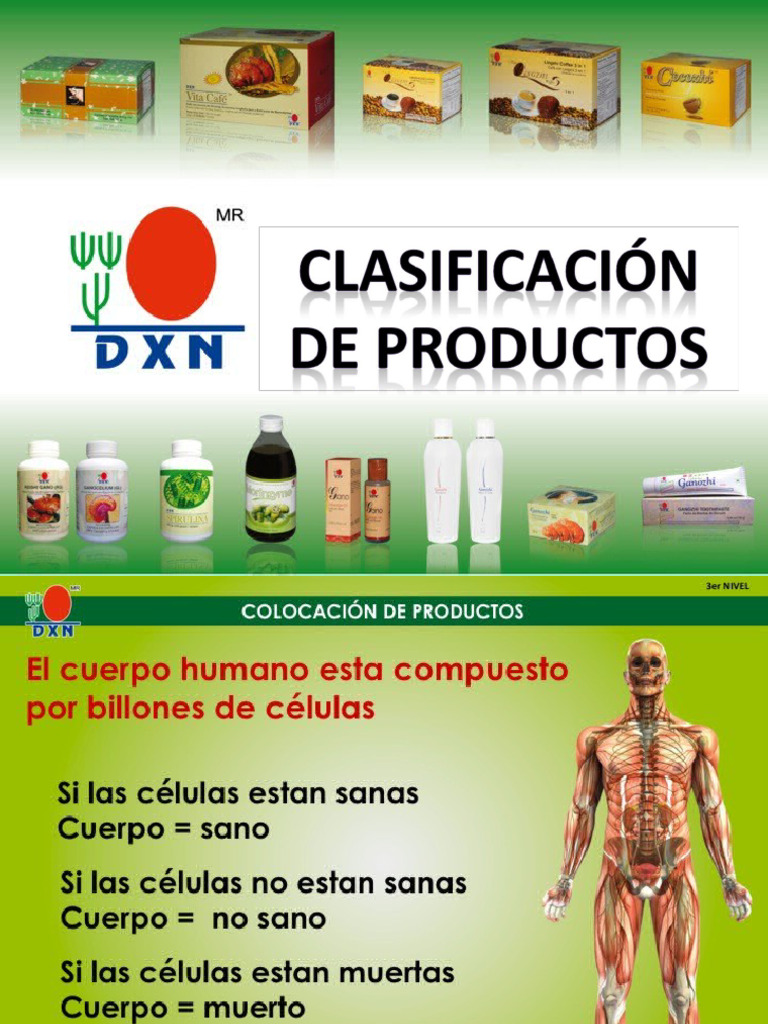 06 Colocacion de Productos | PDF 06 Colocacion de Productos | PDF