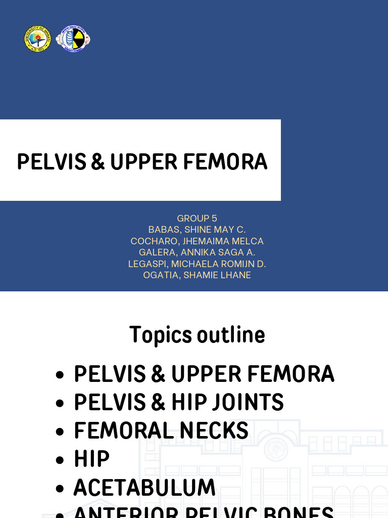 Group 5 Pelvis And Upper Femora Pdf