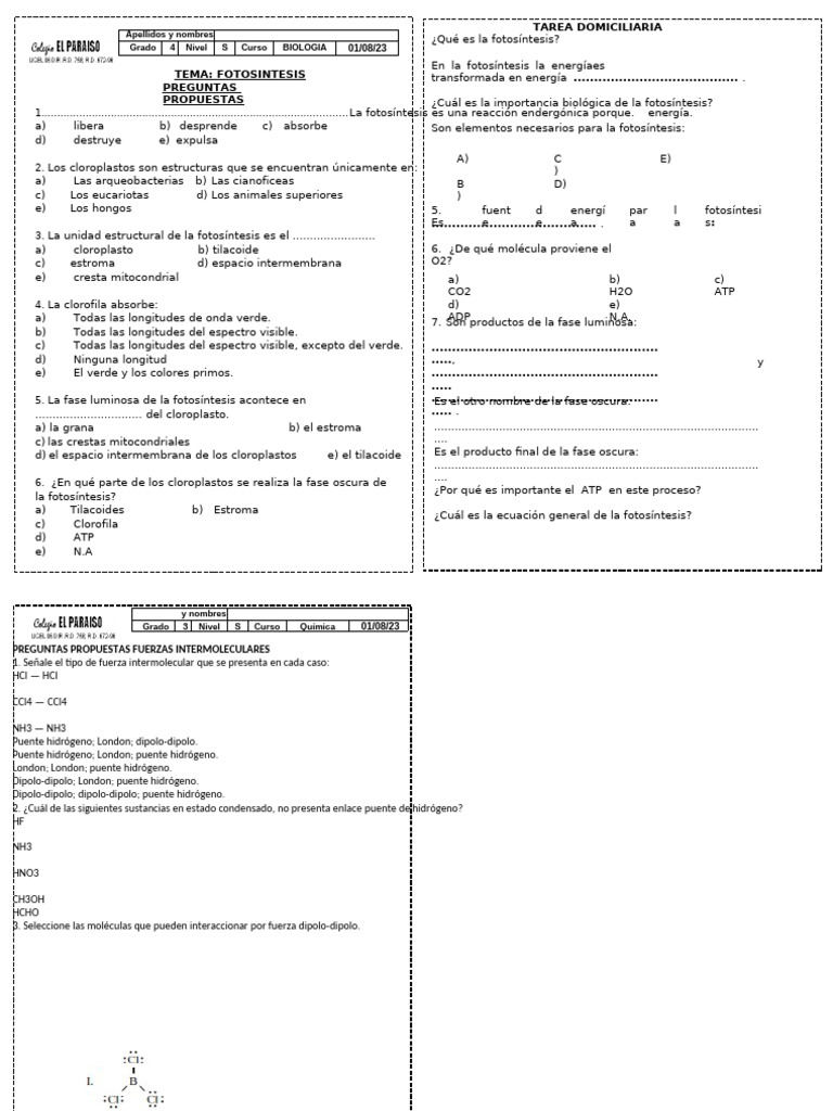 Ficha Sesion 2 Cta | PDF