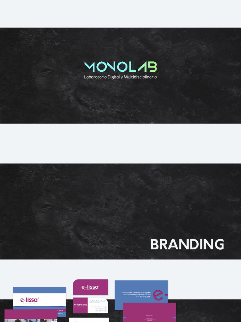 01 Monolab Boo | PDF