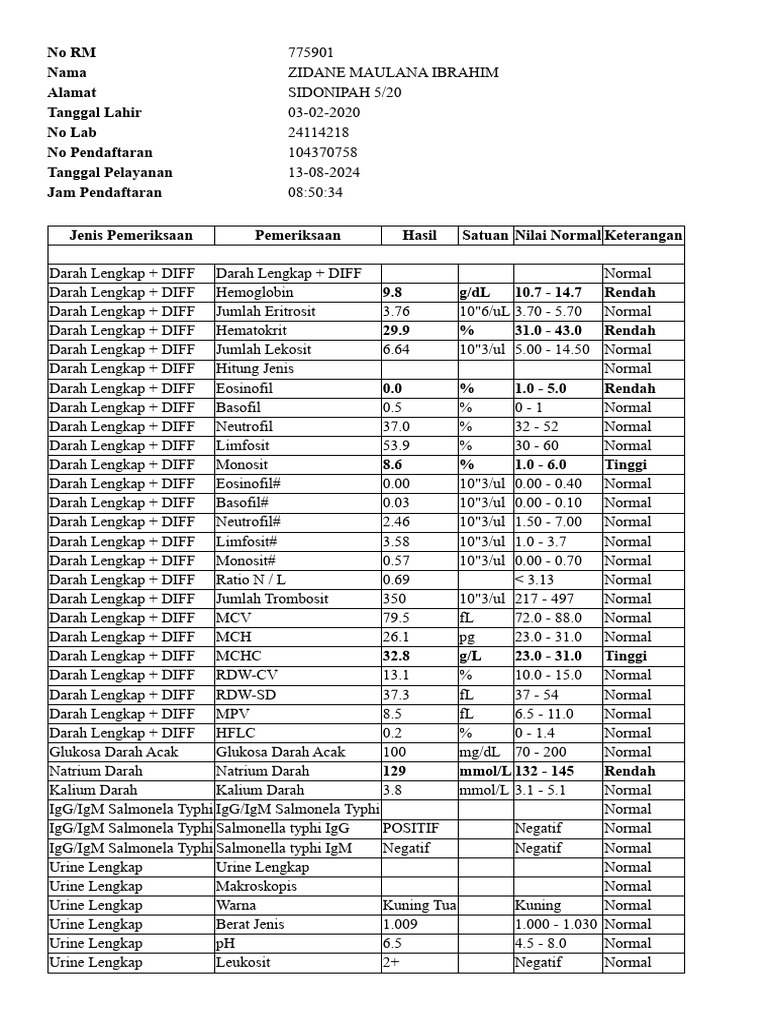 Lab Darah Zidane 13 Agusutus | PDF