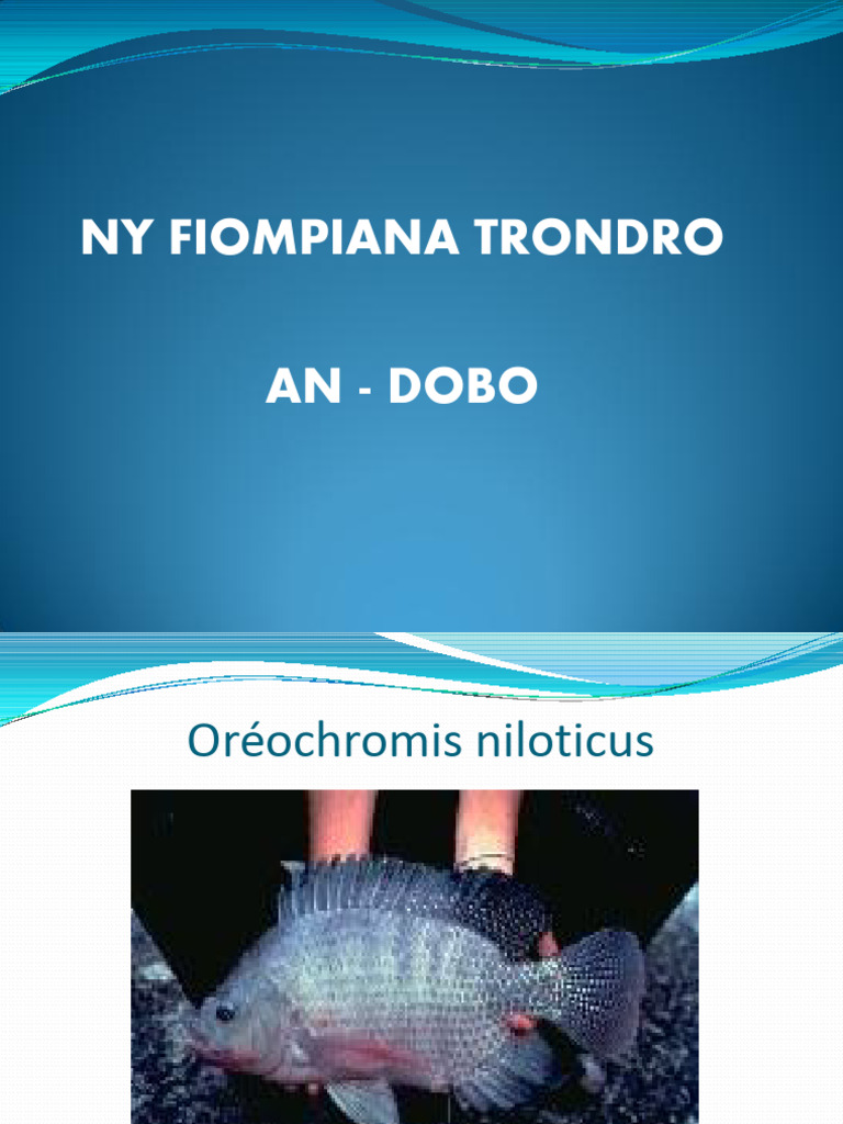 1.fiompiana Trondro.1 (Tilapia) (Voatra Dobo +fitantanana) | PDF