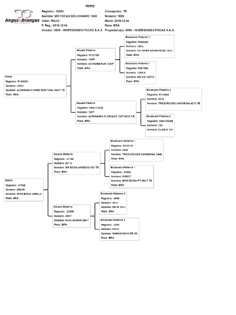 Pacho Toro 1869 Registro | PDF