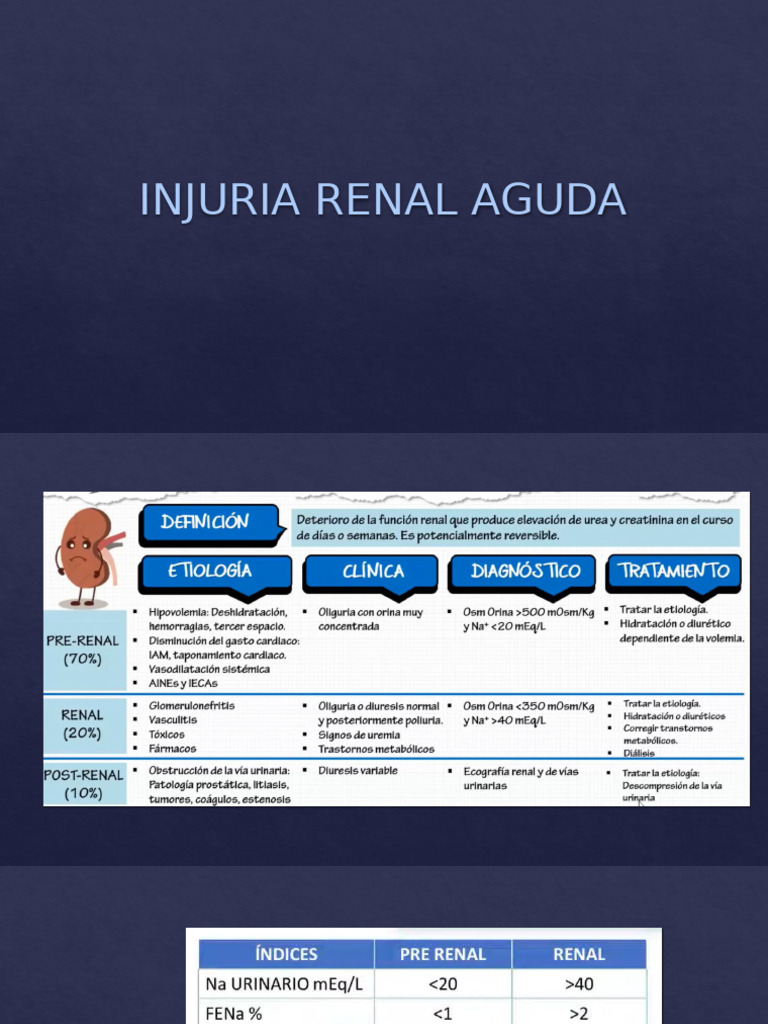 Injuria Renal Aguda | PDF
