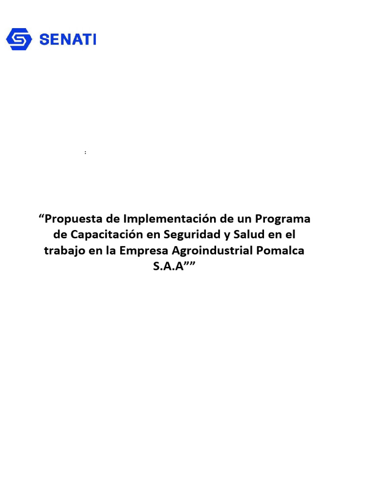 Propuesta de Un Programa de Capacitación en Seguridad y Salud en El ...
