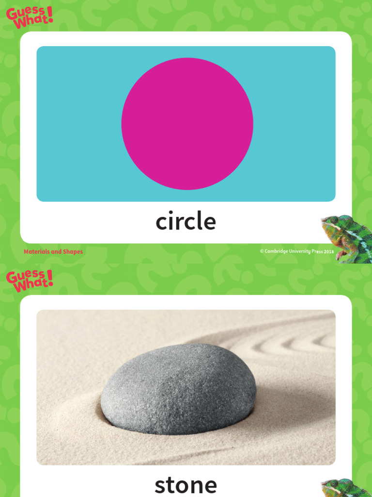 Guess What Flashcards | PDF