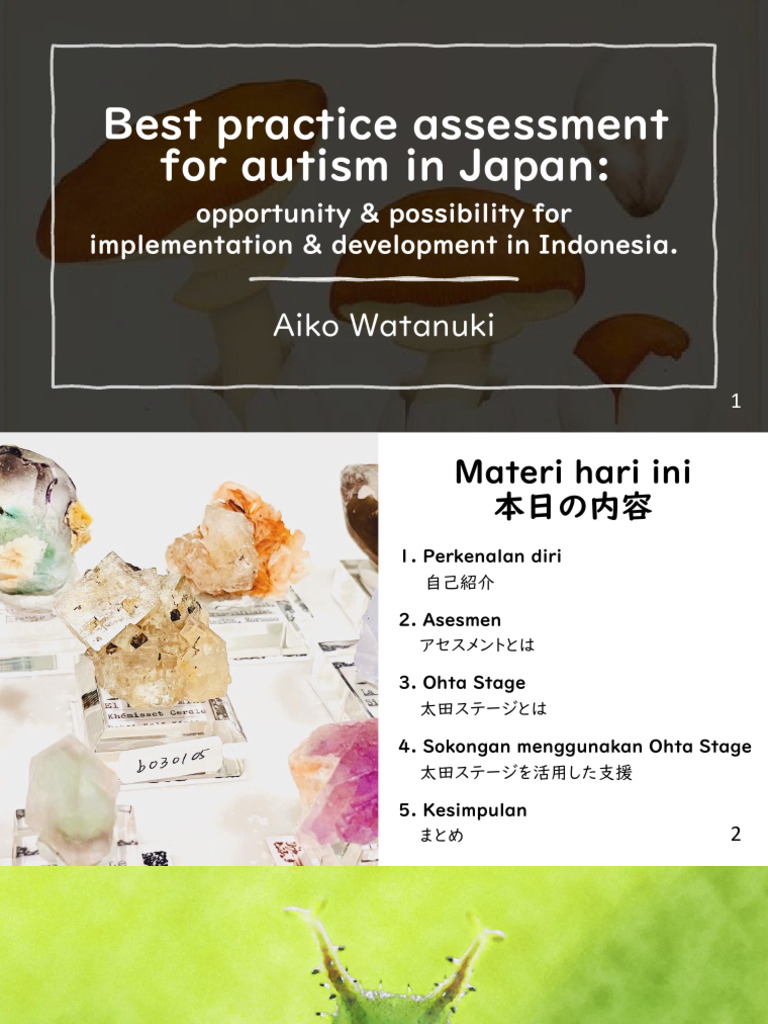 18 - 8 - PDF - Best Practice Assessment For Autism in Japan Watanuki ...