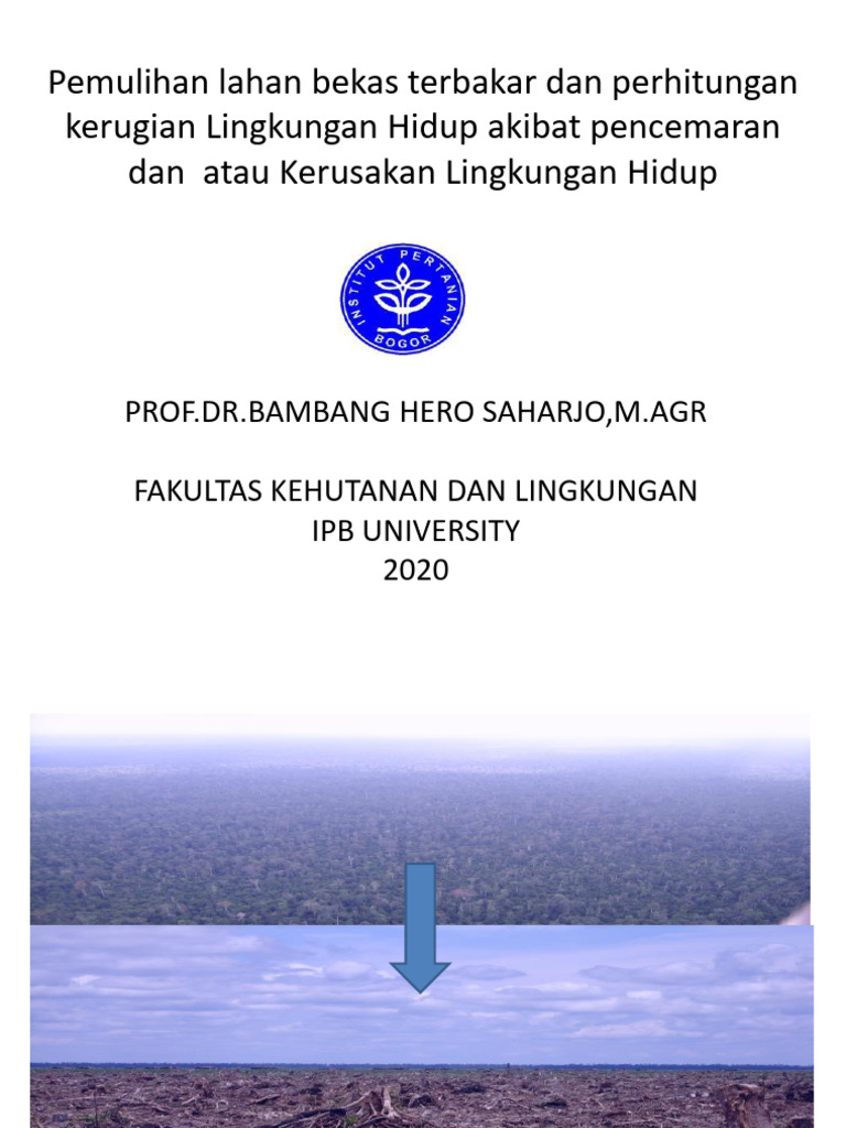 Bahan Paparan Karhutla (Bambang) | PDF