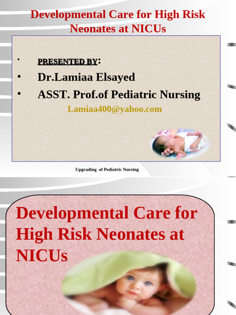 Topics Developmental Care For Neonates | PDF