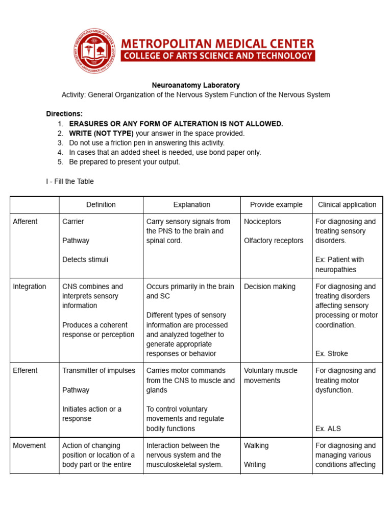 Neuroanatomy Laboratory | PDF