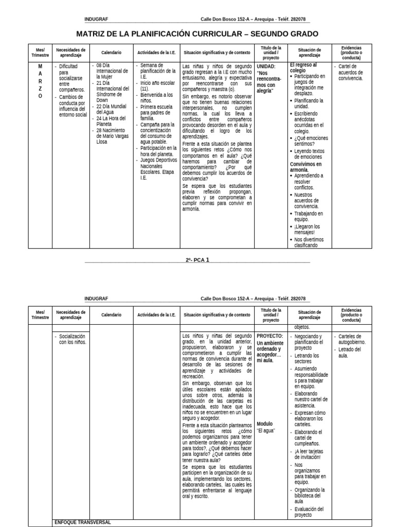 2° - MATRIZ PLANIFICACIÓN Carbajal 2c Plan Anual | PDF