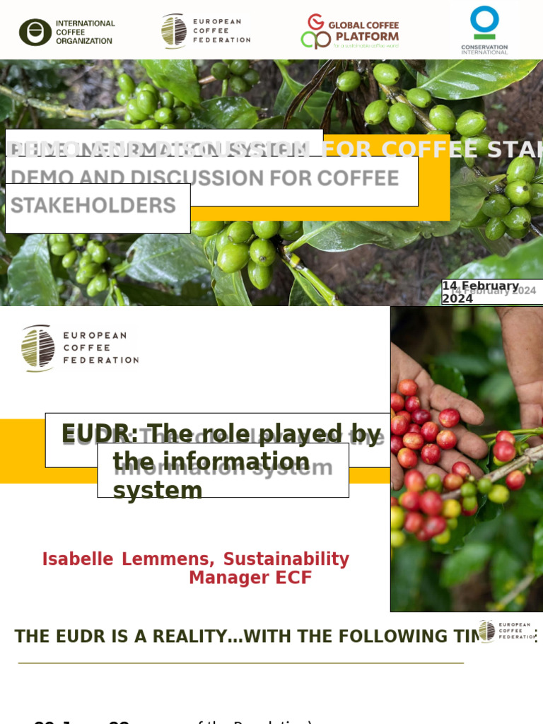 Eudr Information System Webinar Slide Deck | PDF