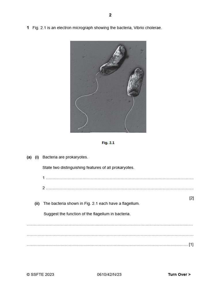 Bio Grade 9 P4 Qp Pdf