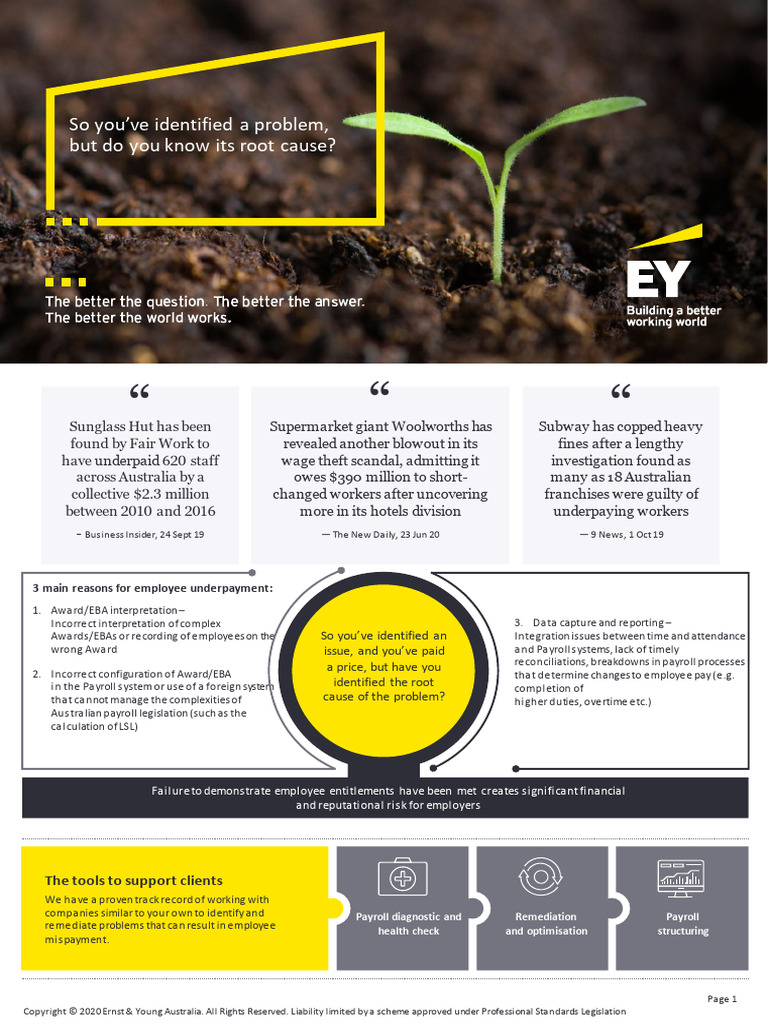 For Entities Trying To Understand Their Payroll Issues EY 1603885218 | PDF