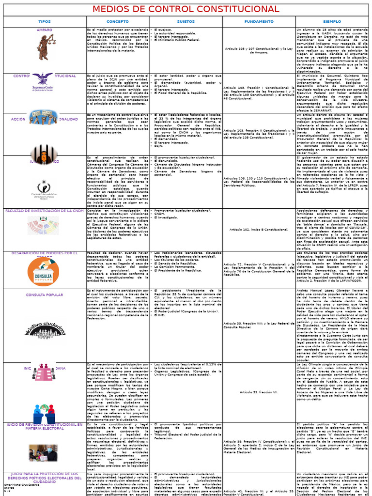 Medios de Control Constitucional | PDF