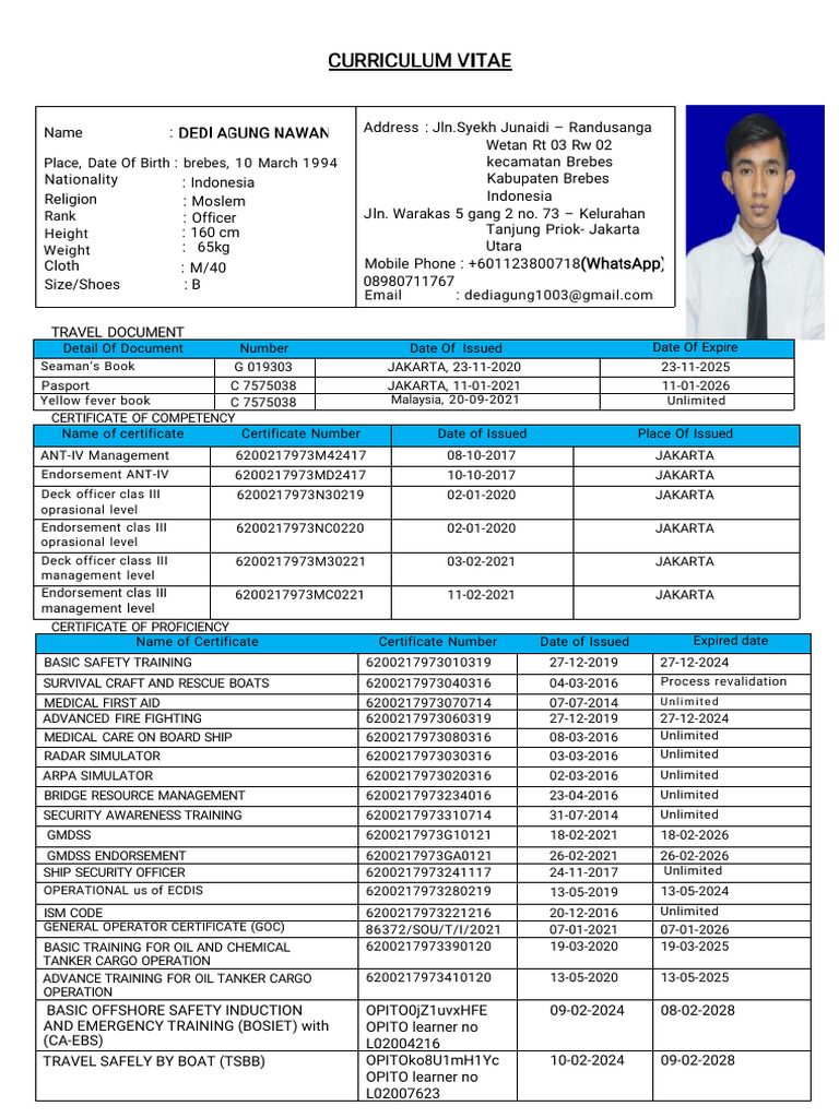 Cv Dedi Agung Terupdateee | PDF