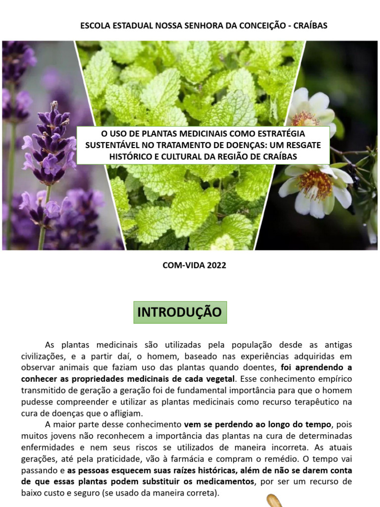 Projeto Mentoria - 3º t02 | PDF