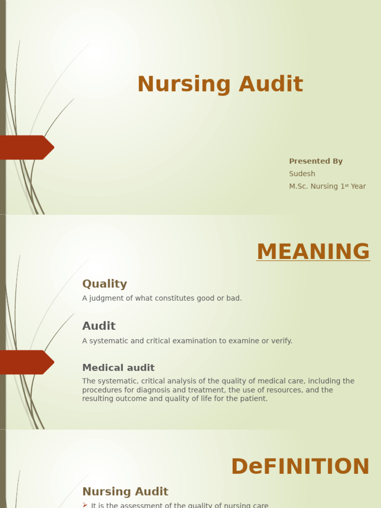 Nursing Audit | PDF