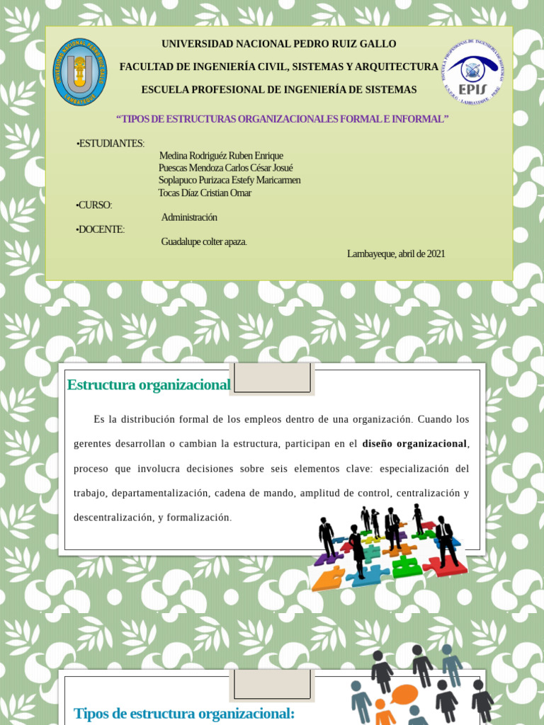 Tipos de Estructuras Organizacionales Formal e Informal | PDF