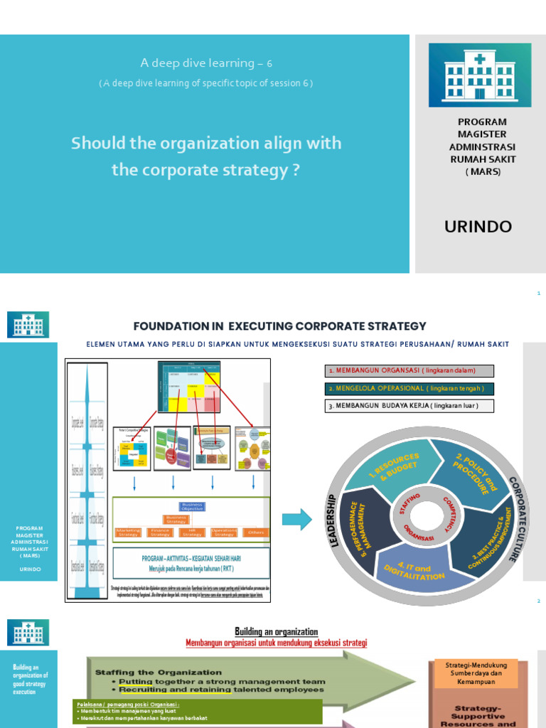 DDL 6 - Hospital Organization Structure | PDF