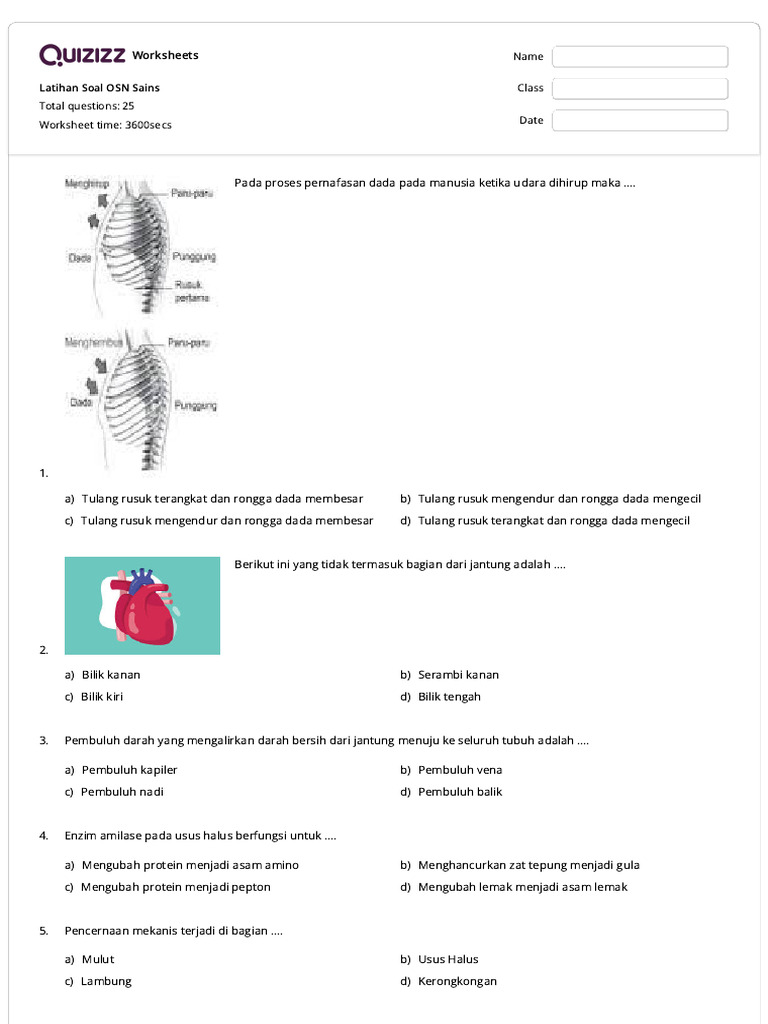 Latihan Soal OSN Sains SD | PDF