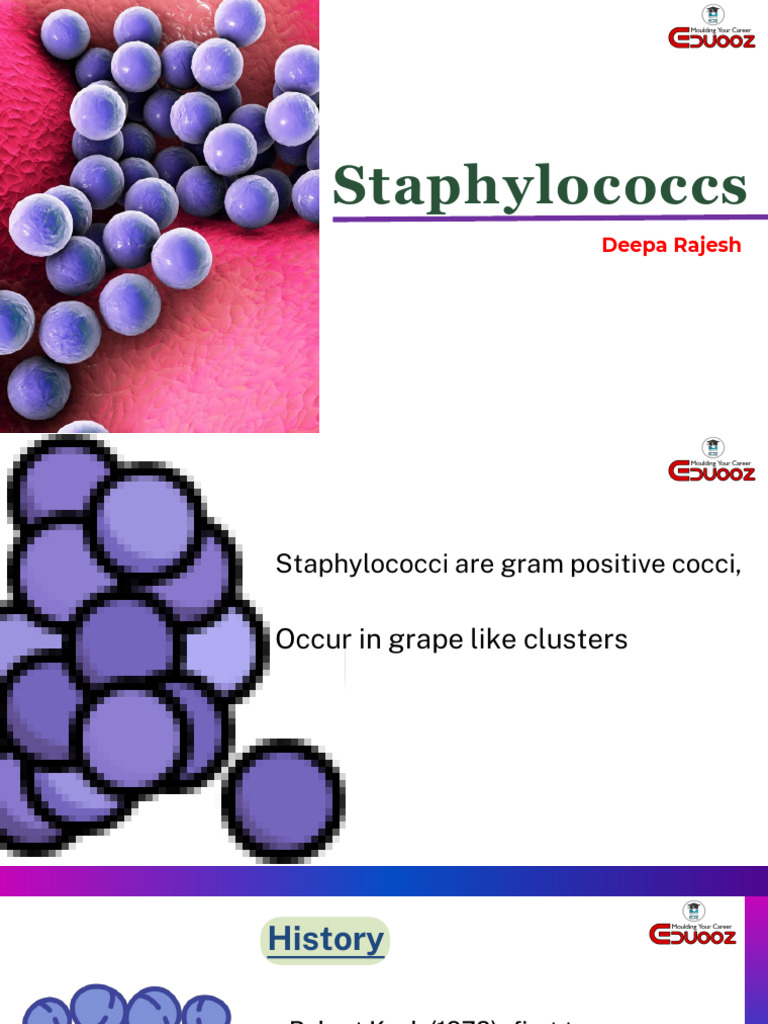 Staphylococcus PPT Note 1 and 2 | PDF