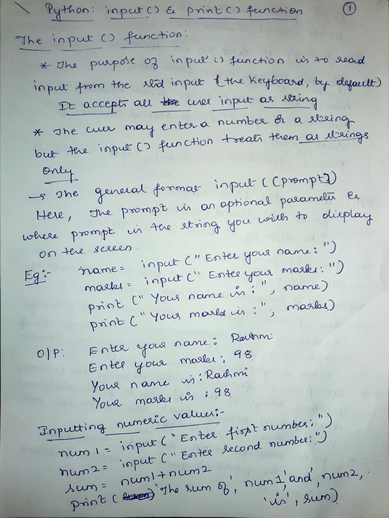 Python Input and Print Function | PDF
