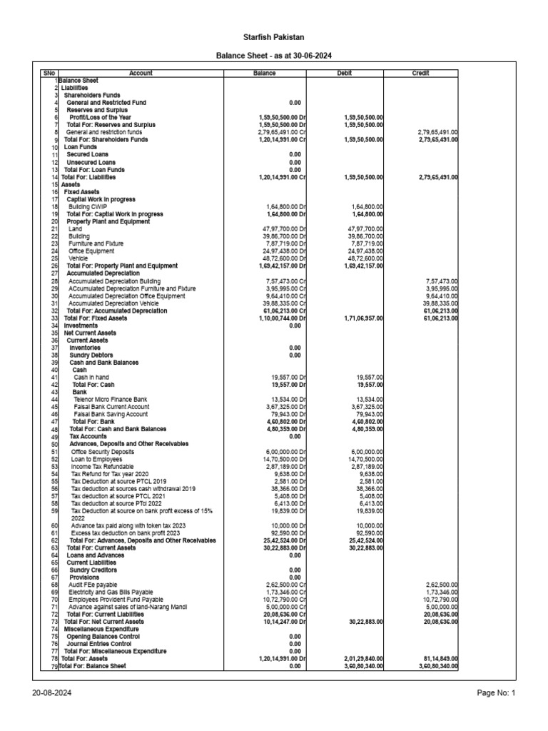 Balance Sheet 2023-2024 | PDF