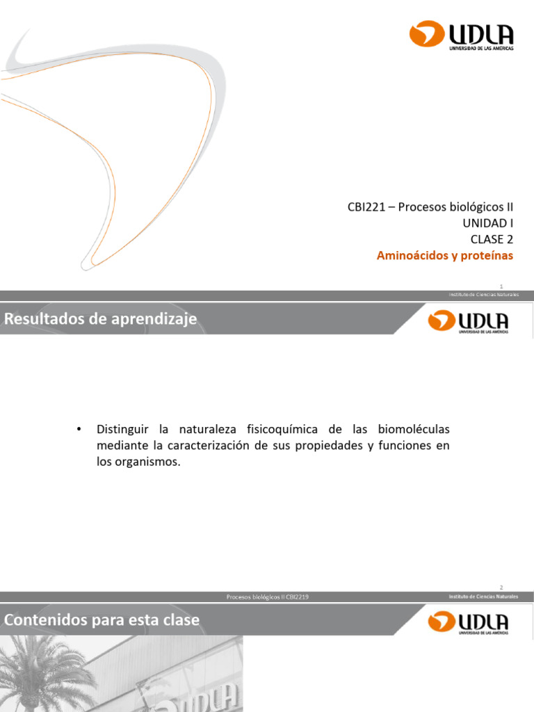 Clase 02 - Aminoácidos y Proteínas 2023 | PDF
