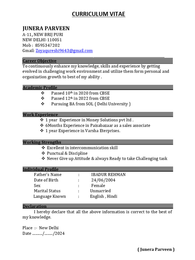 Shubham Updated | PDF