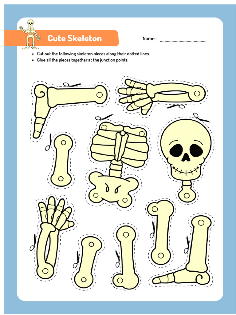 skeletal system puzzle | PDF