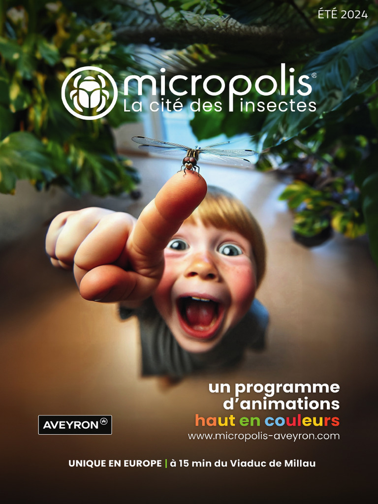 MICROPOLIS Programme Danimation Ete 2024 | PDF