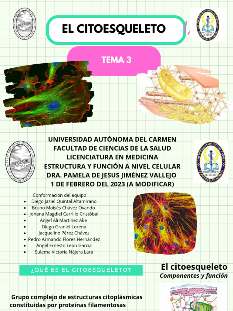 El Citoesqueleto | PDF