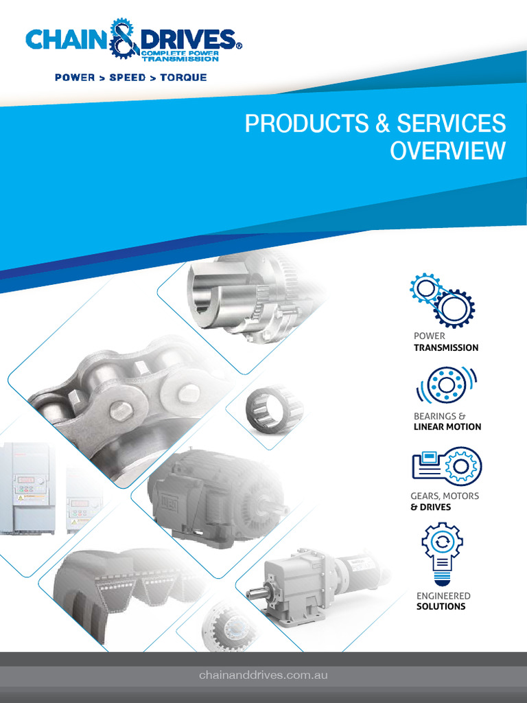 Chain & Drives Overview 2020 | PDF