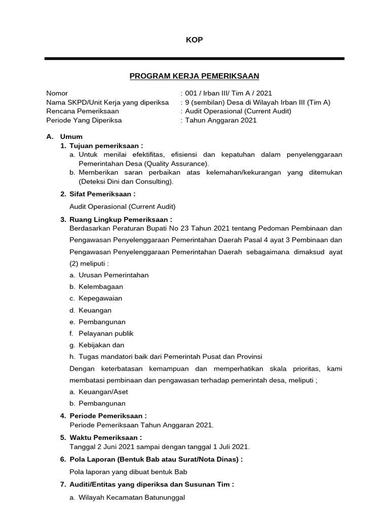 PKA Current Audit | PDF