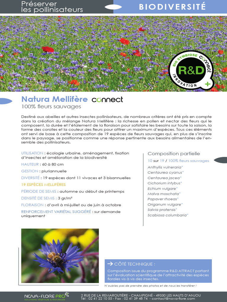 Natura Mellifere Connect 2023 | PDF | Home & Garden