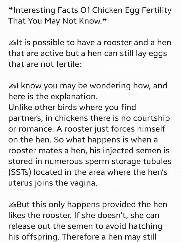 Chicken Egg Fertility | PDF