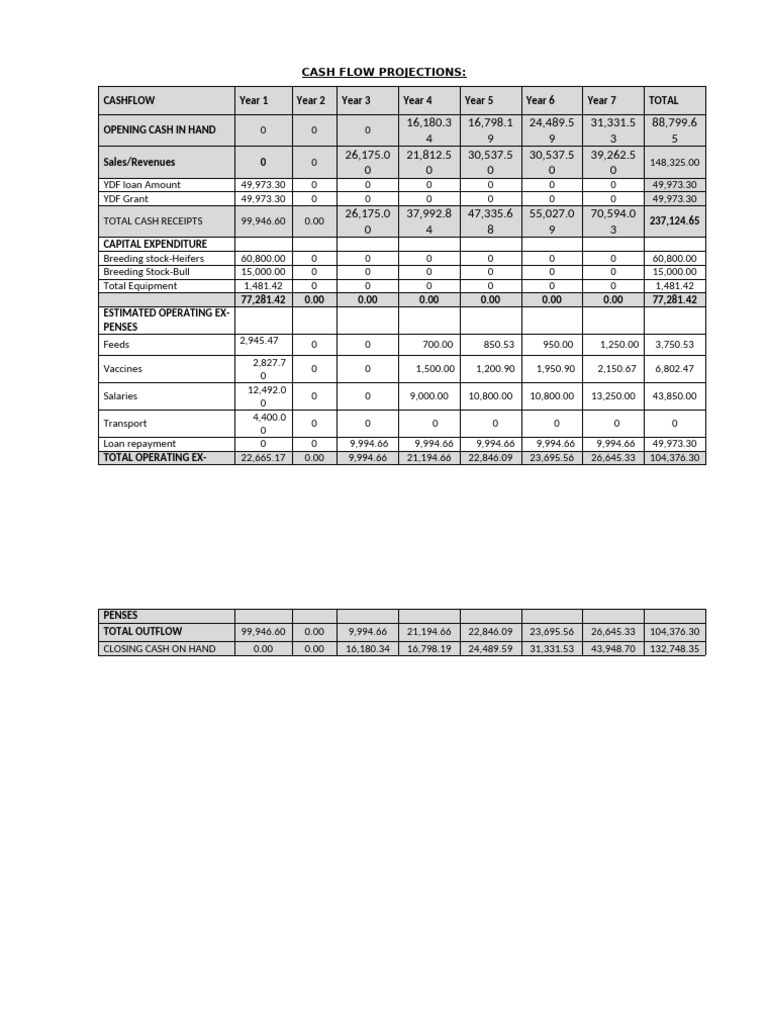 Cash Flow Projections NM | PDF | Expense | Financial Accounting