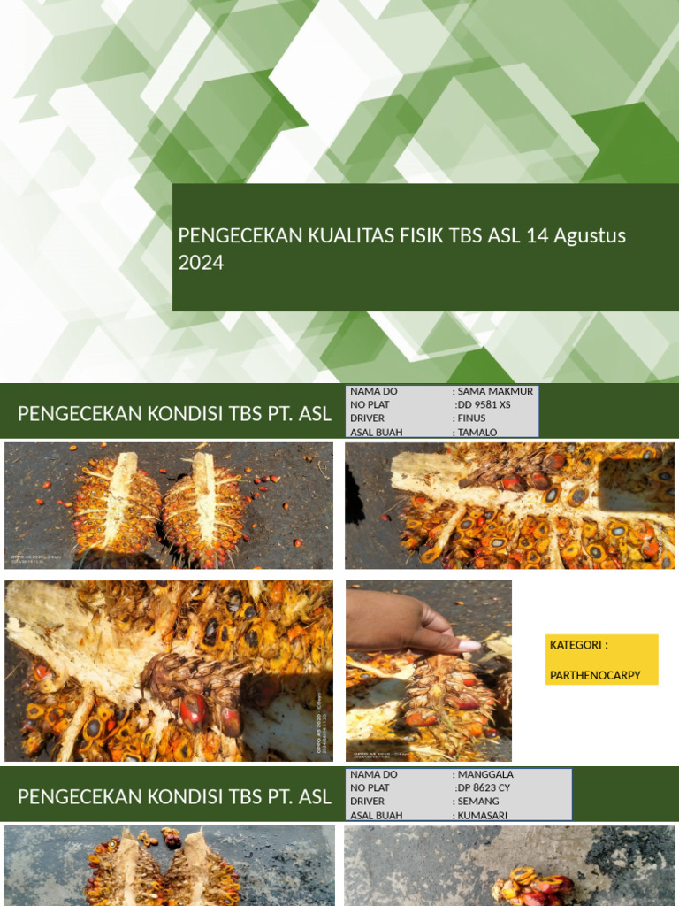 Anlisa Fisik TBS 2024 | PDF