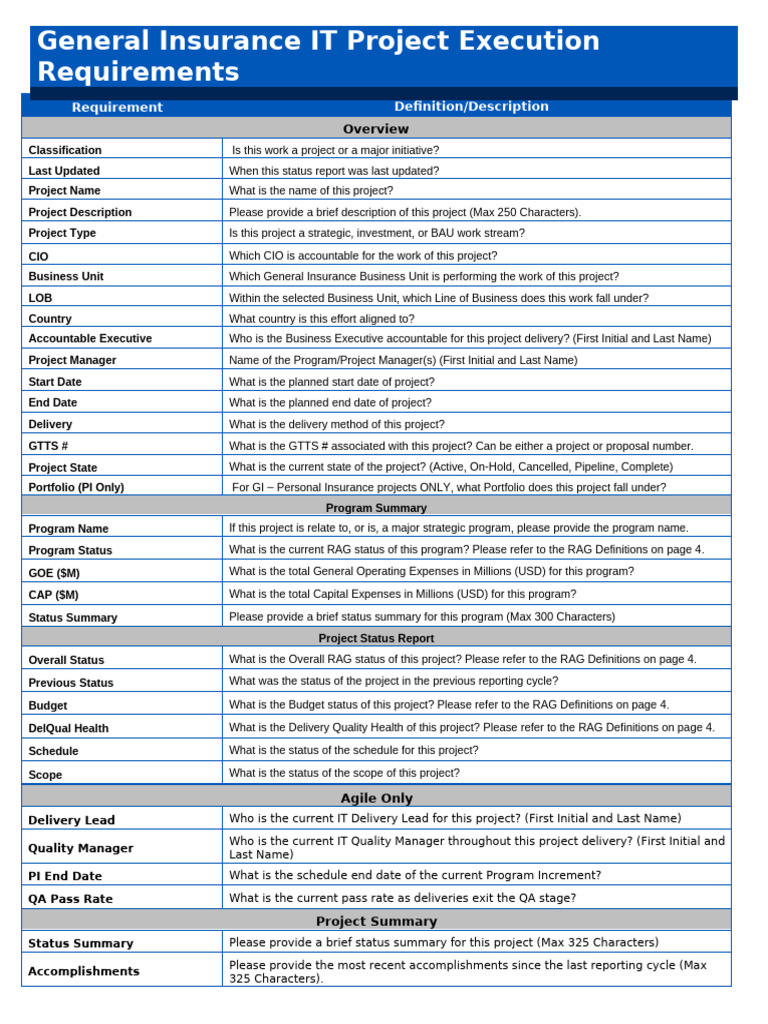 General Insurance IT Project Execution Requirements | PDF