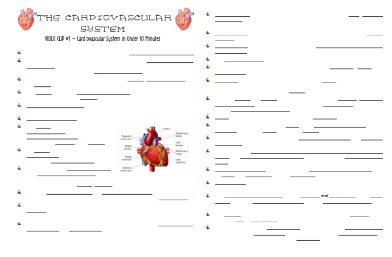 Handout #3 Overview of The Circulatory System | PDF