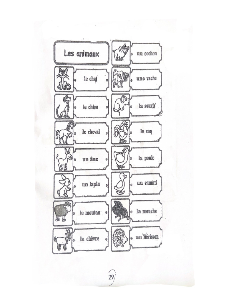 French Final Exam Third Term | PDF