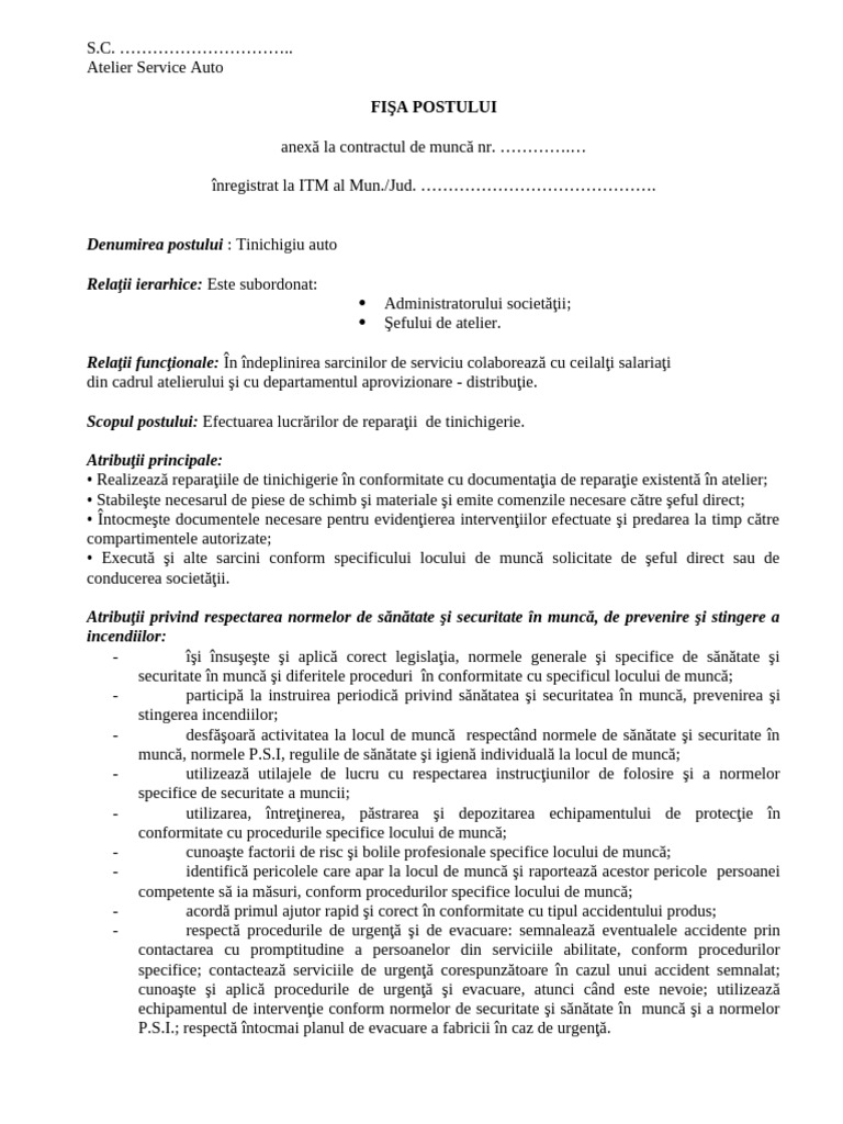 Tinichigiu Auto | PDF