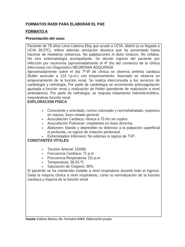 Formatos Raer para Elaborar El Pae | PDF