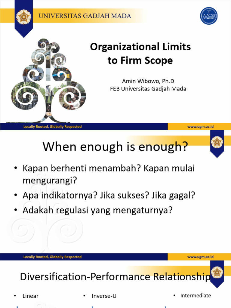 Sesi-6-Org Limit To Firm Scope-2021 | PDF