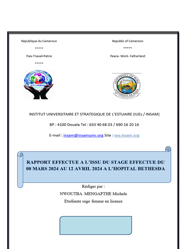 Rapport de Stage Accademique Michele | PDF