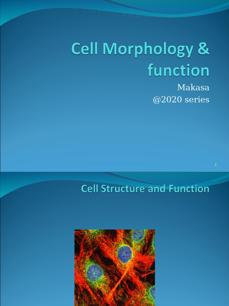 Cell Morphology and Function FV | PDF